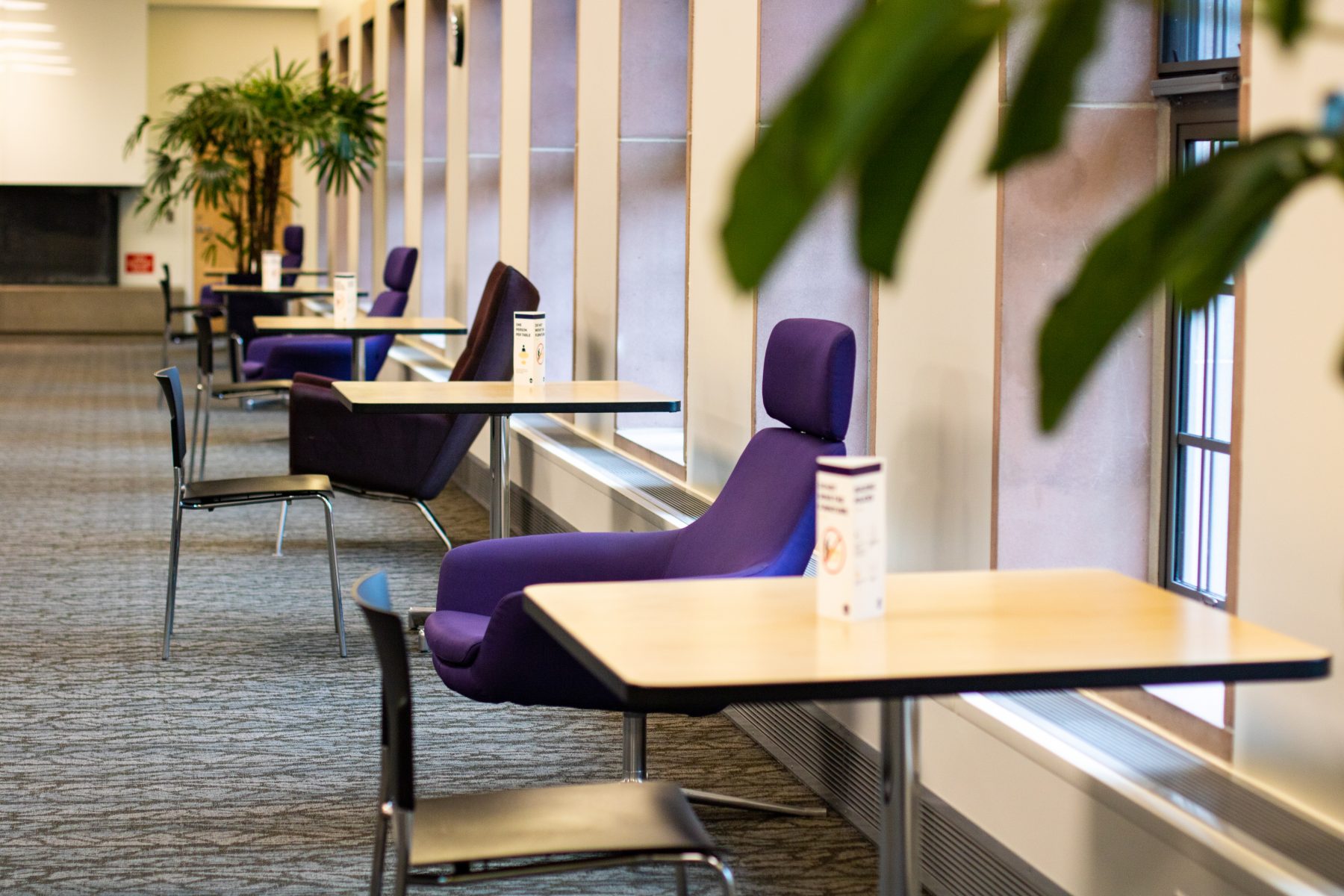 Visiting the HUB | The HUB